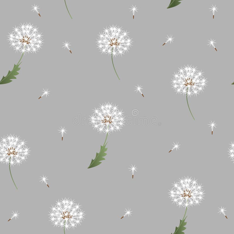 Dandelion seamless pattern stock vector. Illustration of decor - 21558300