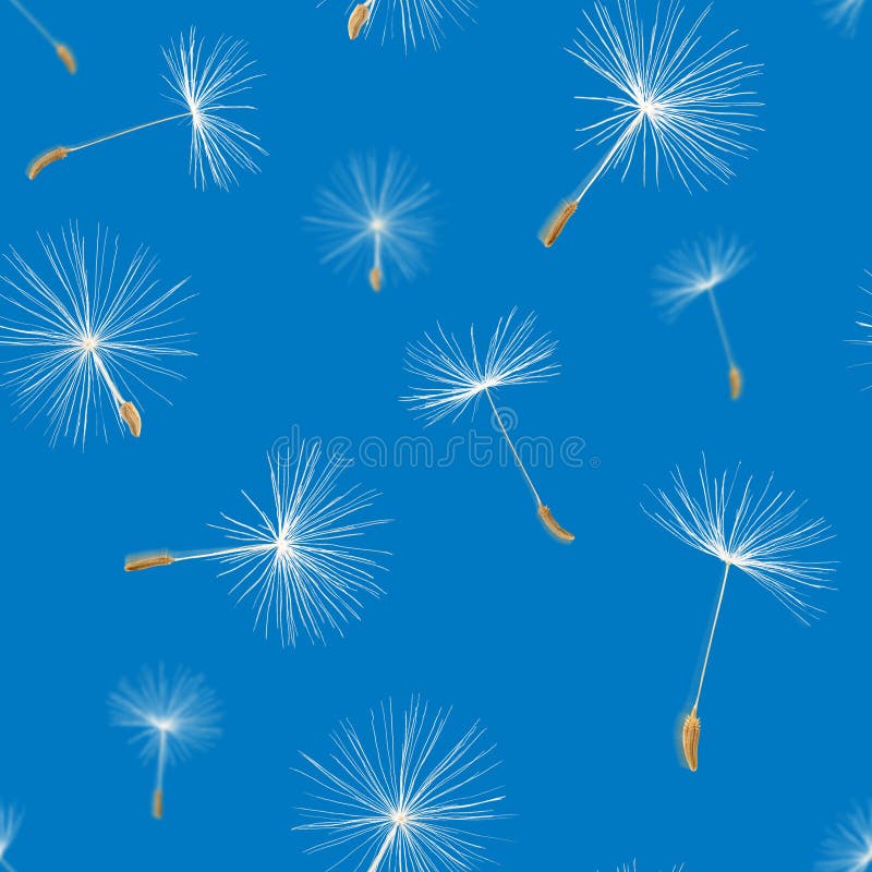 Dandelion Seeds Seamless Pattern Stock Image - Image of dandelion, seed ...