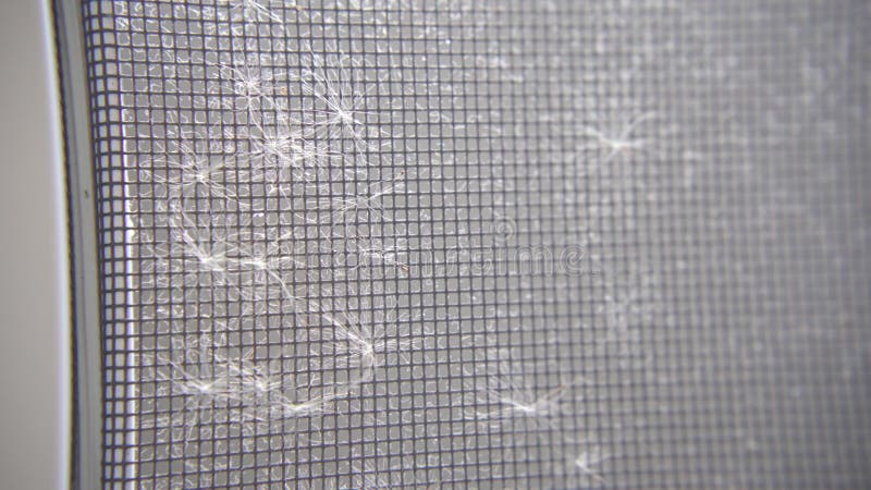 Mesh Screen TV Damage Glitch Digital Signal Pixel Stock Footage - Video ...