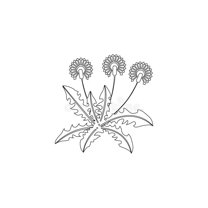 Dandelion. Flat Vector Icon Stock Vector - Illustration of icon ...