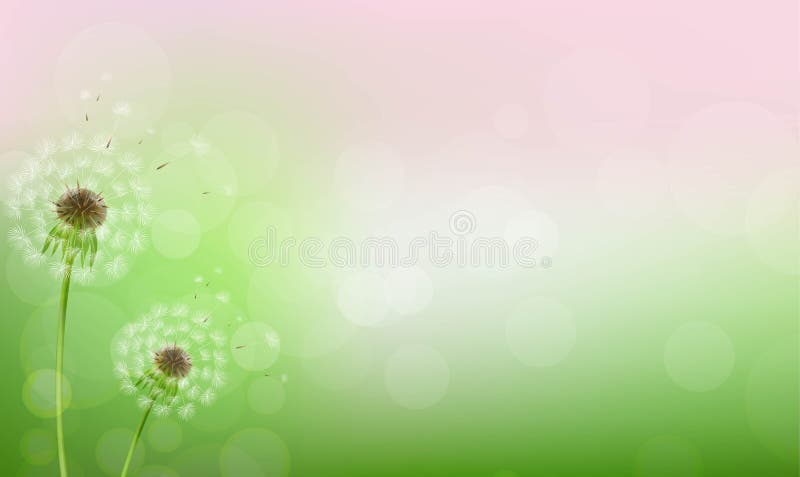 Dandelion and Spring Background with Bokeh Stock Vector - Illustration ...