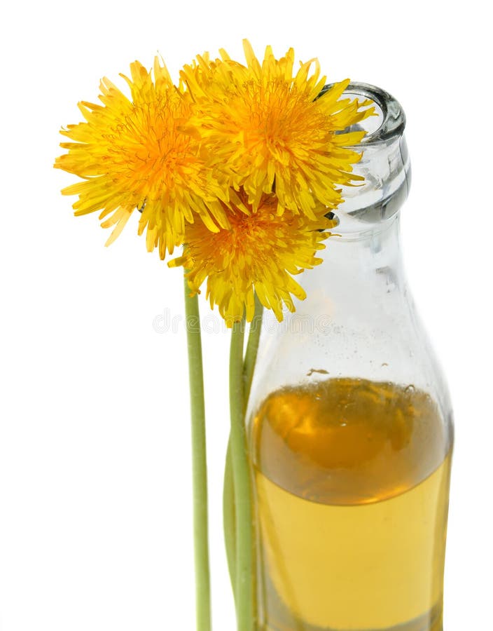 Dandelion Wine stock image. Image of nature, glass, flower - 53028995