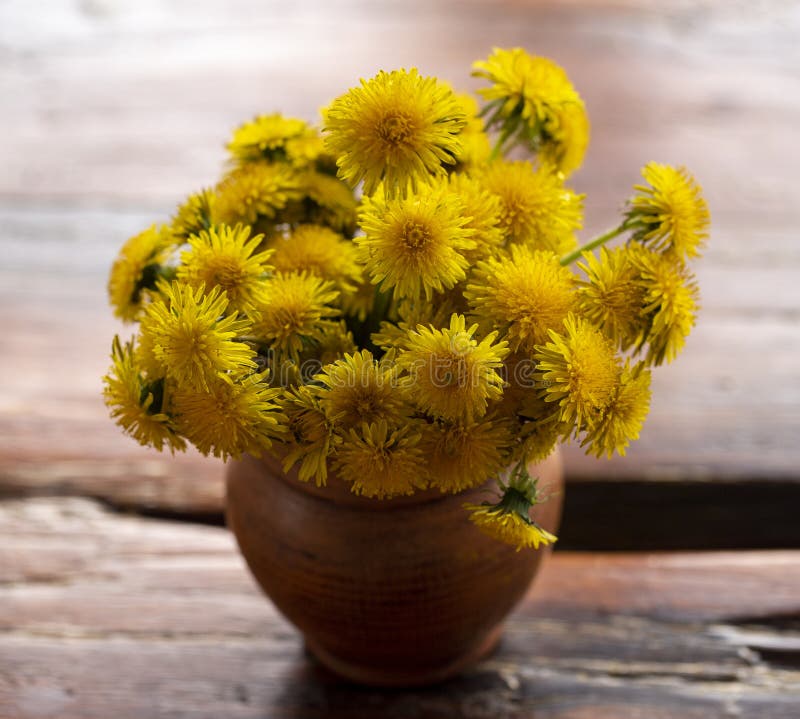 Dandelions in a Ceramic Vase in Early Spring Stock Image - Image of ...