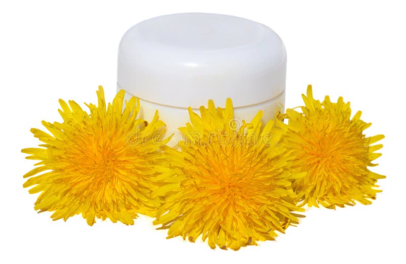 Dandelions stock photo. Image of treatment, cure, nature - 53028968