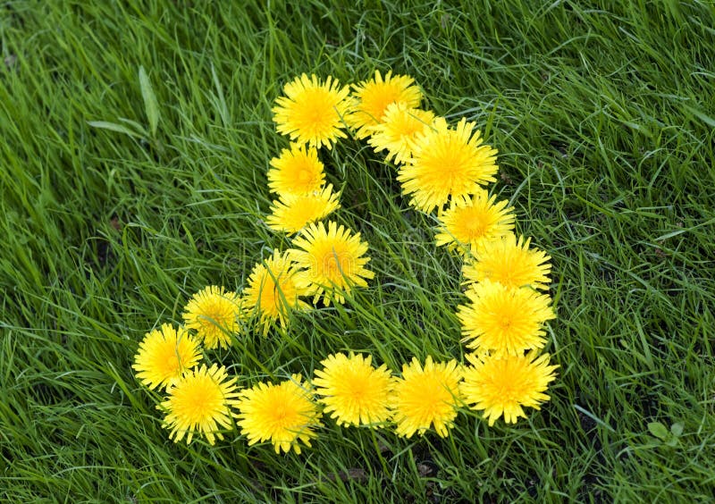 Dandelions Heart stock photo. Image of nature, happy - 12915858