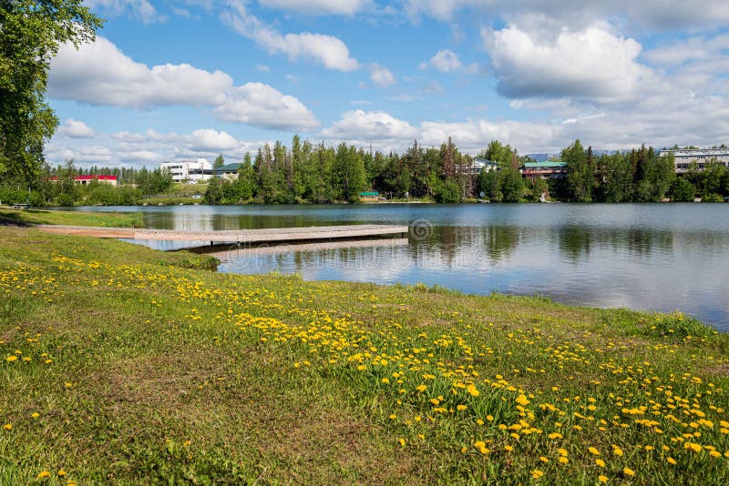 Roadside Lake stock image. Image of british, spring, caribou - 42891969