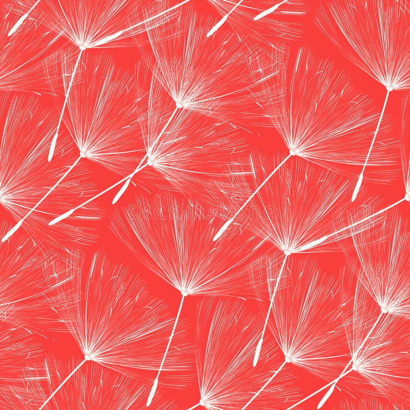 Dandelions seed pattern stock vector. Illustration of growth - 145454737