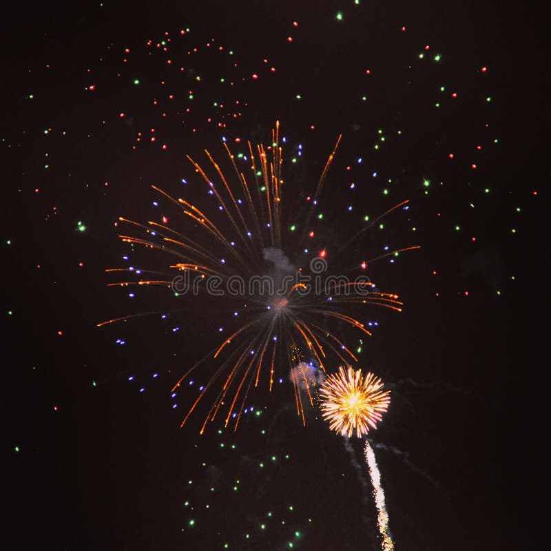 Dandelions Fireworks stock image. Image of fireworks - 100479837