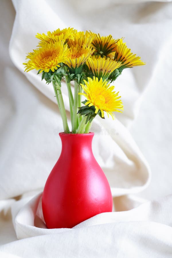Dandelions in Vase stock photo. Image of posy, color - 71606918