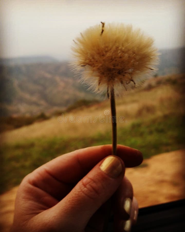 Valley of 1000 hills stock photo. Image of valley, 1000 - 7790448