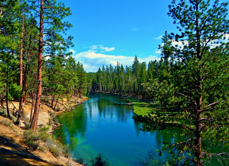 Dandy Deschutes stock image. Image of emerald, logs - 183122809