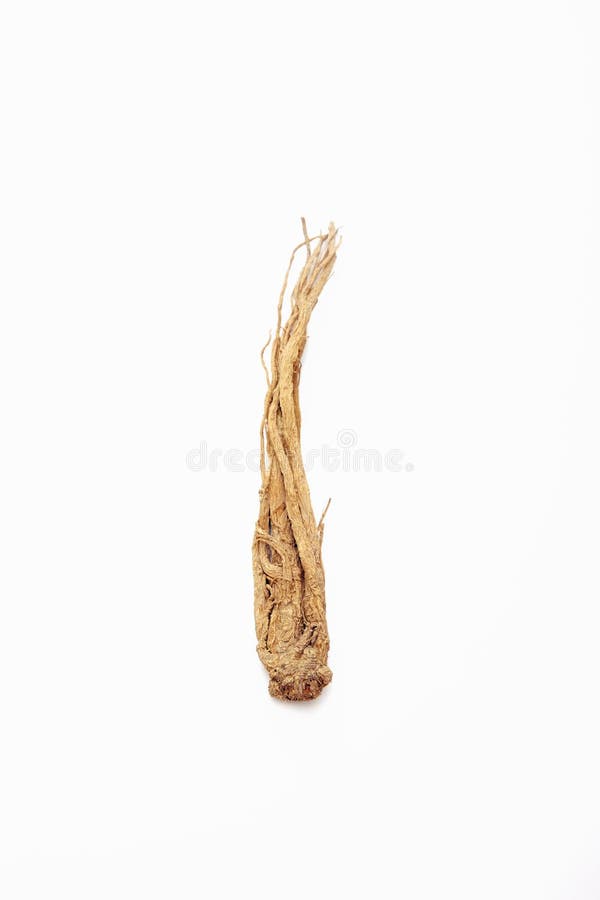 Dang Shen Root. Conceptual Image Stock Photo - Image of food, healthy ...