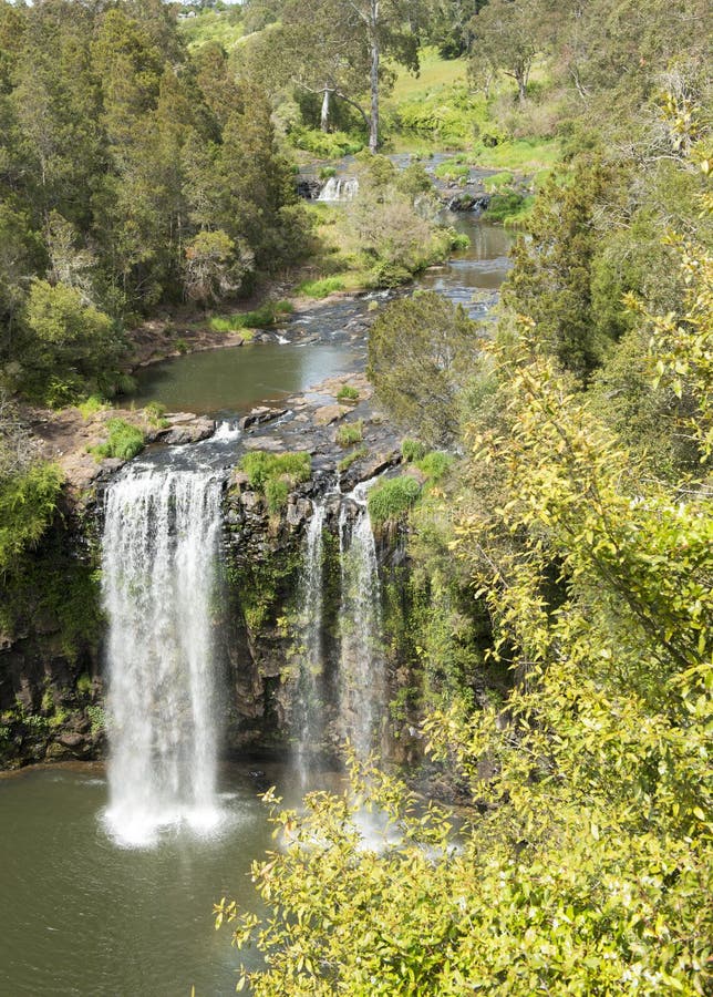 Dangar waterfall stock image. Image of dangar, leaf, park - 81129497
