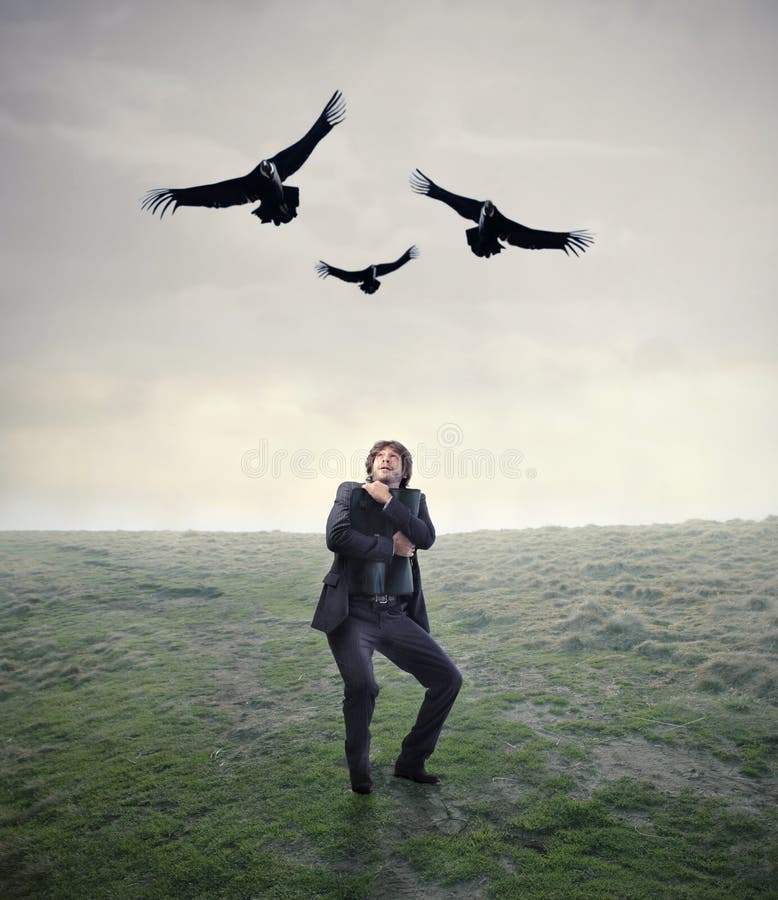 Danger stock image. Image of concept, fear, scary, hawk - 19178295