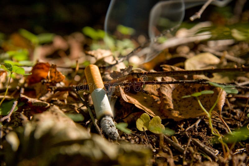 304 Forest Fire Cigarette Photos - Free & Royalty-Free Stock Photos ...