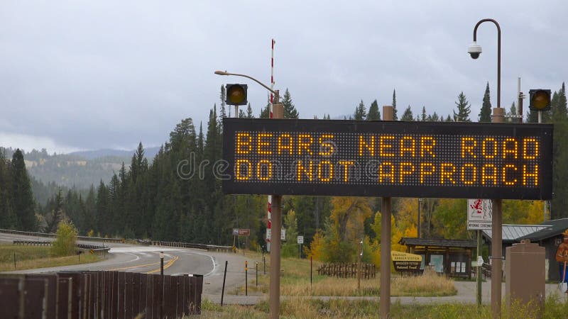Bear Warning Sign on a Highway in Wyoming Stock Image - Image of ...