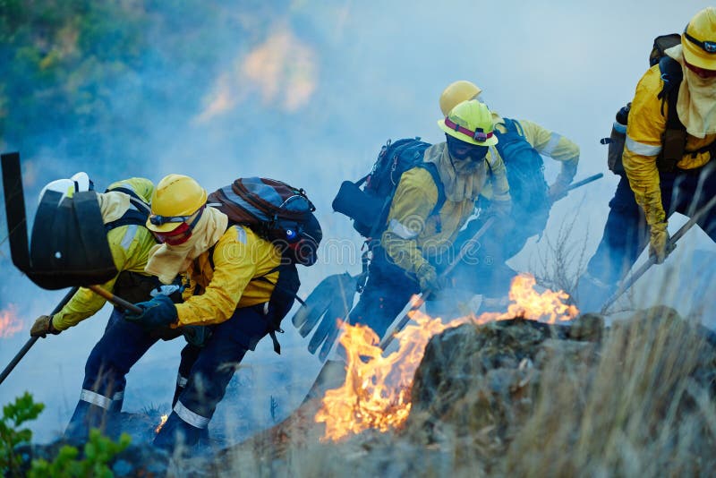 Danger, Forest and Firefighter Team with Emergency, Disaster Management ...