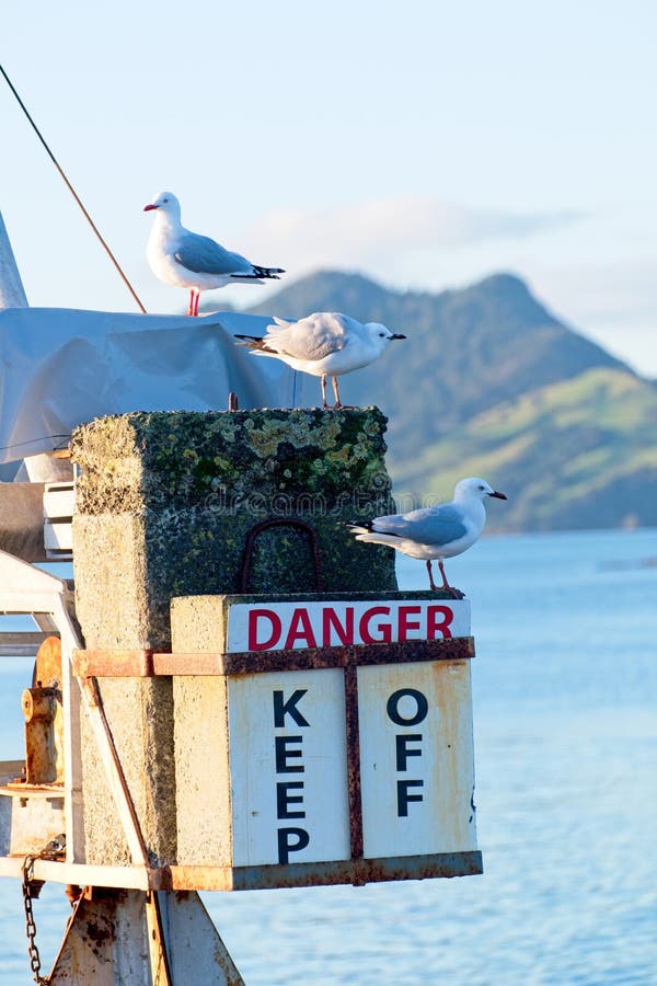 Danger, Keep Off Sign stock image. Image of message - 251687679