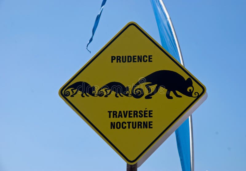 Warning Rats Stock Photos - Free & Royalty-Free Stock Photos from ...