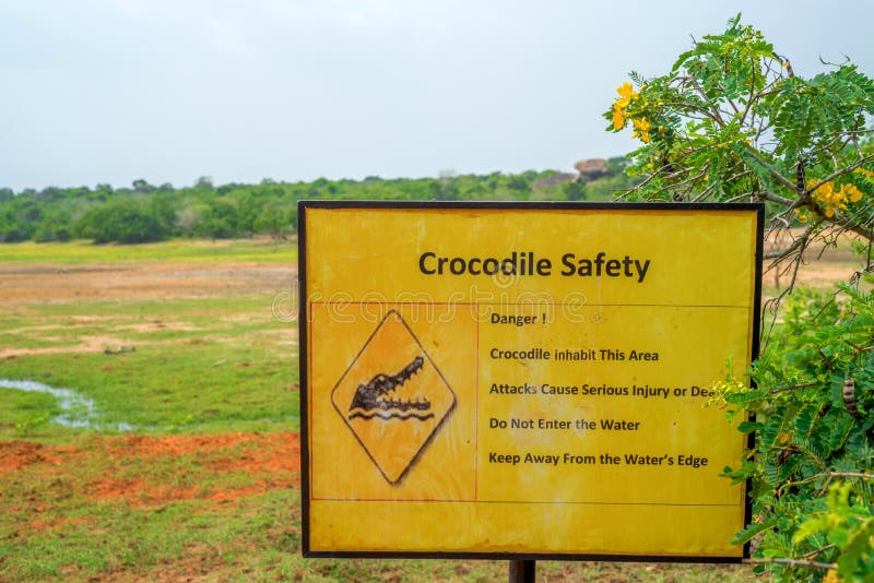 Danger sign - crocodiles stock photo. Image of beware - 87266002