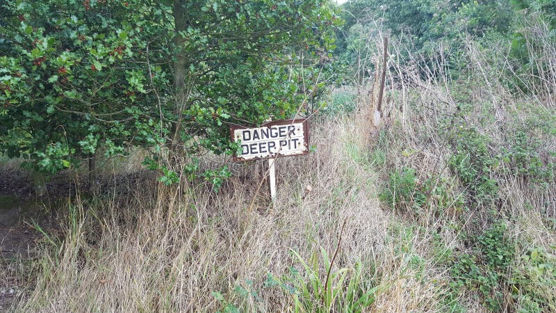Danger stock image. Image of sign, forest, green, danger - 80236607