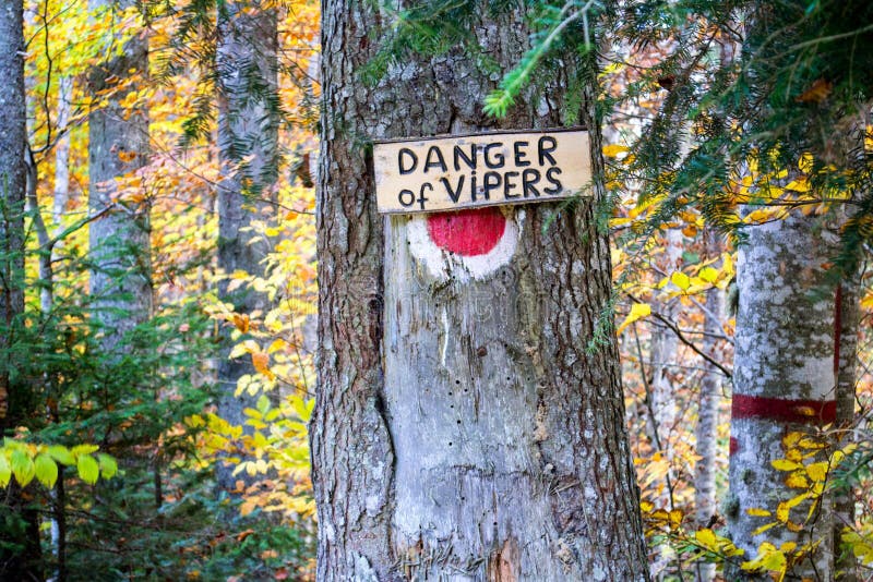 Vipers Sign Stock Photos - Free & Royalty-Free Stock Photos from Dreamstime