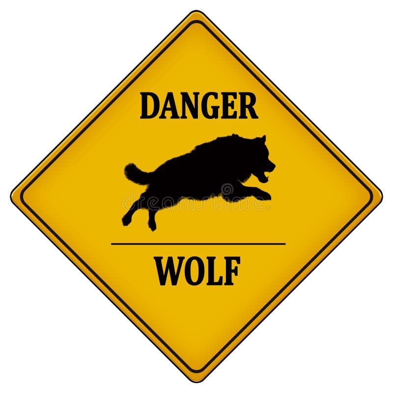 Danger wolf stock vector. Illustration of face, hunting - 19111903