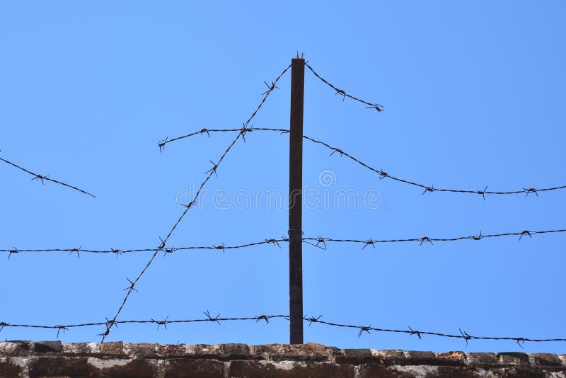 Dangerous Barbed Wire stock photo. Image of military - 176509366