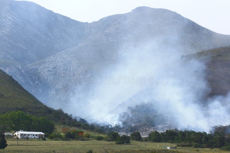 Dangerous fire stock photo. Image of hill, wind, fire - 3278928