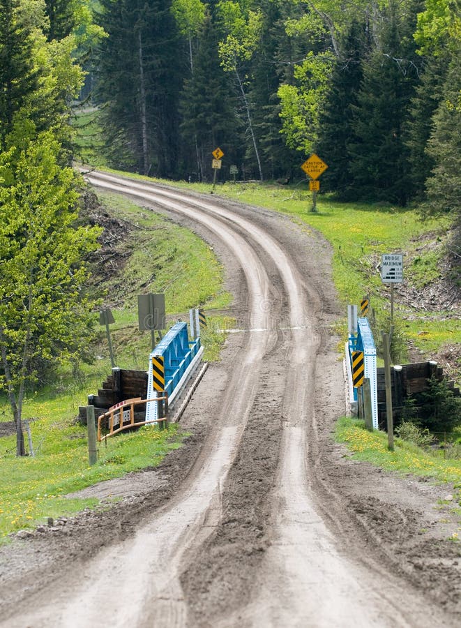 Dangerous Forestry road stock photo. Image of caution - 10822176