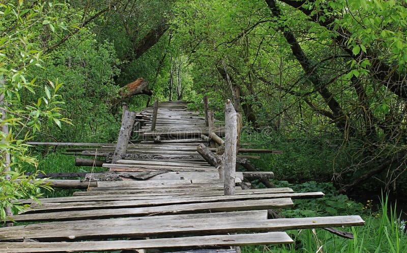 Dangerous If Broken Wooden Bridge Stock Image - Image of adventure ...