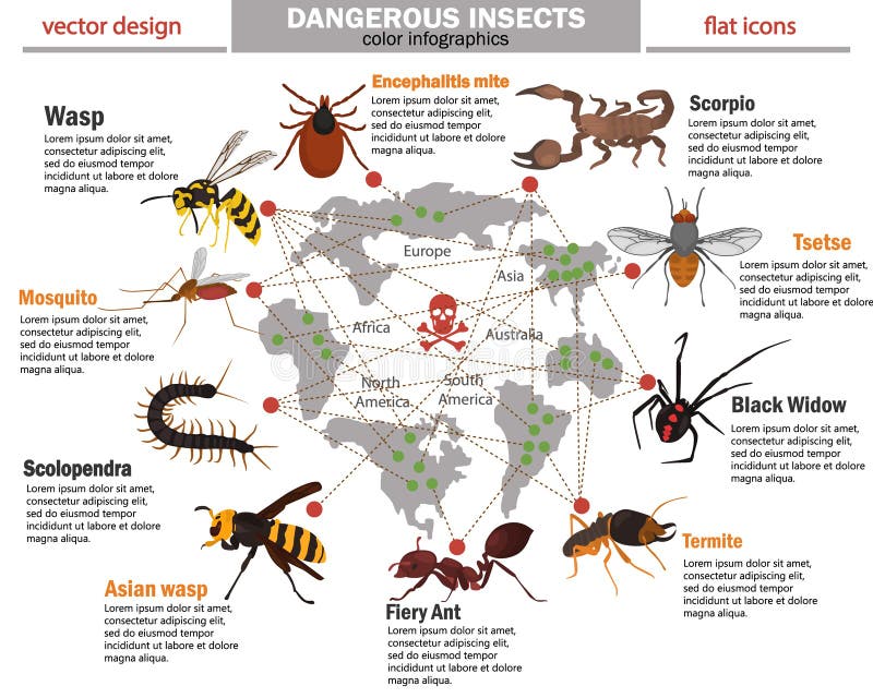 Set Pf Dangerous Insects with Their Names Color Flat Icons Stock Vector ... Set Pf Dangerous Insects with Their Names Color Flat Icons Stock Vector ...