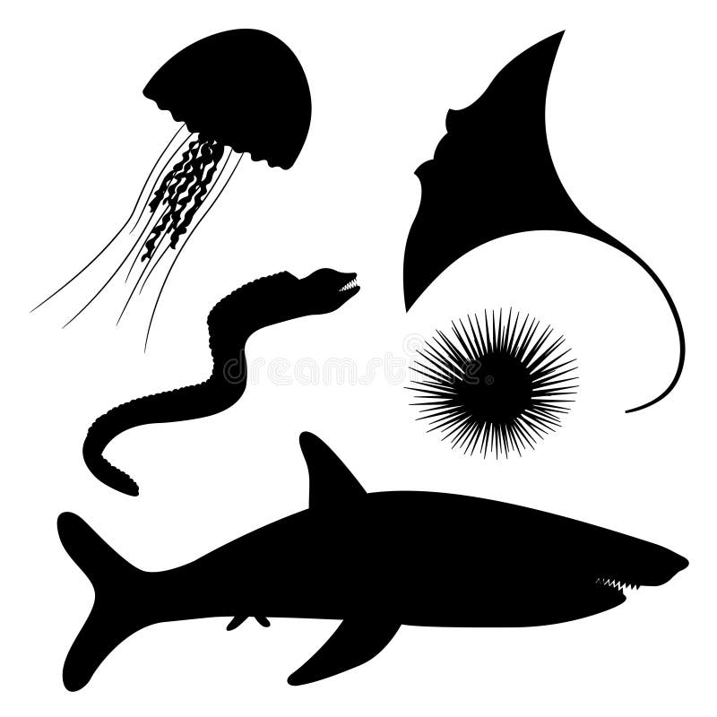 Moray Sign Stock Illustrations – 82 Moray Sign Stock Illustrations ...