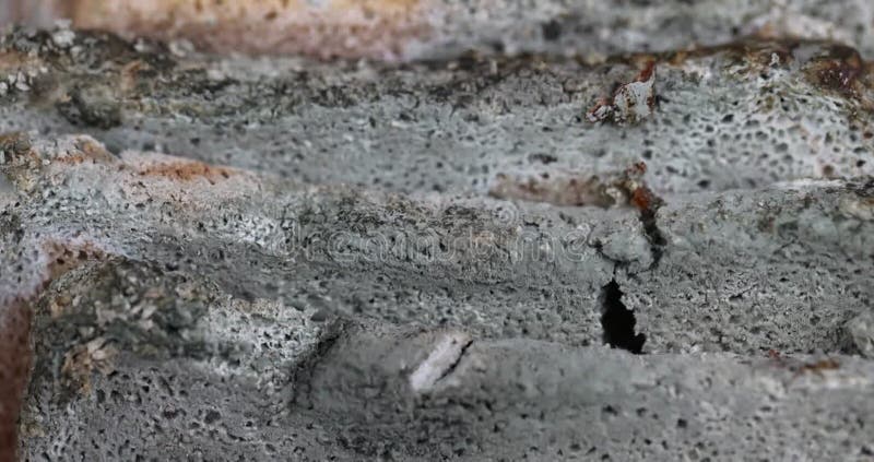Dangerous Pieces of Bread Covered with Mold on the Table Stock Footage ...