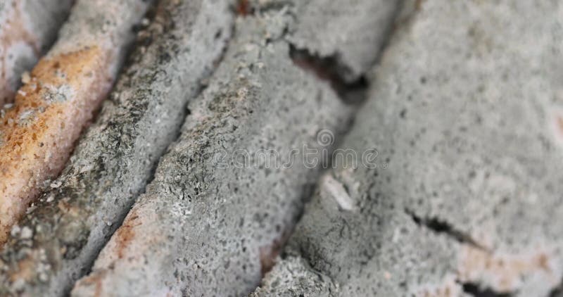 Dangerous Pieces of Bread Covered with Mold on the Table Stock Video ...