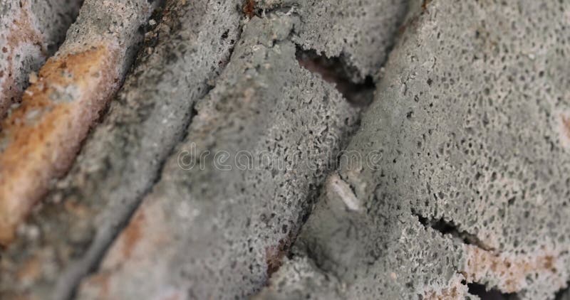 Dangerous Pieces of Bread Covered with Mold on the Table Stock Footage ...