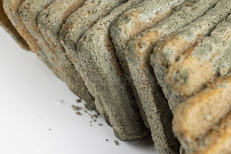 Dangerous Pieces of Bread Covered with Mold on the Table Stock Photo ...