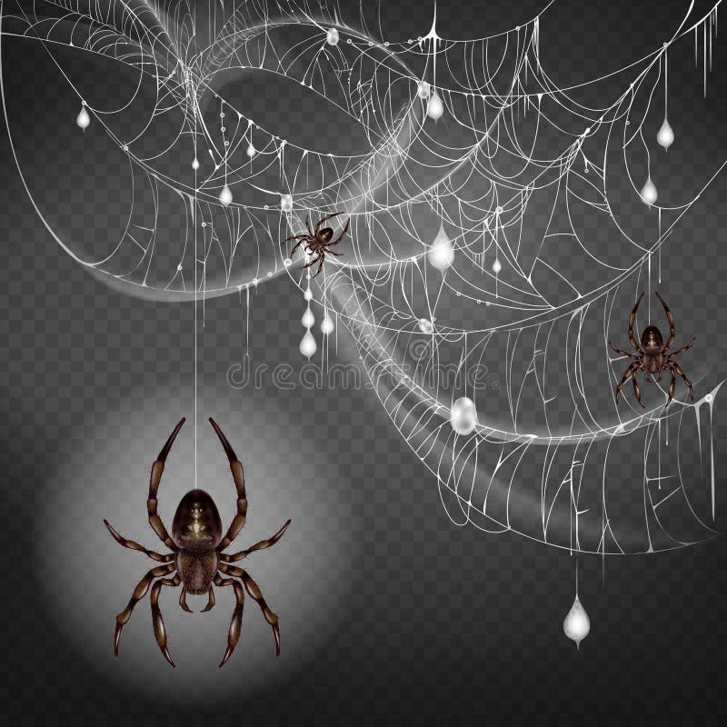 Scarifying Spiders on Web Lace Realistic Vector Stock Vector ...