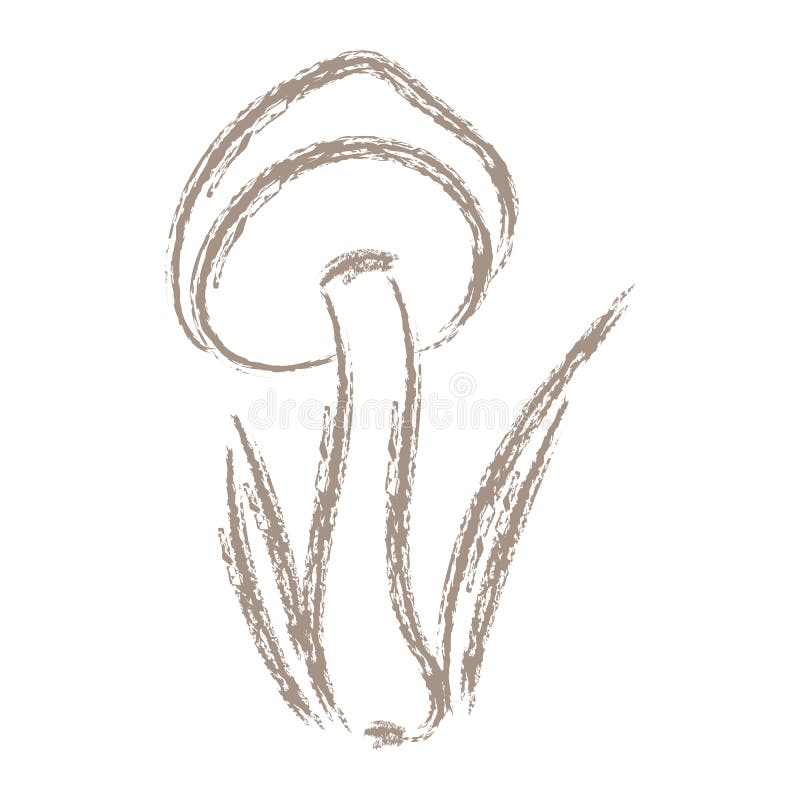 Dangerous Poisonous Mushrooms , Forest Fly Agaric Sketch Stock Vector ...