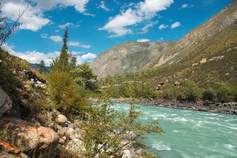 Dangerous river-03 stock photo. Image of pine, natural - 465908