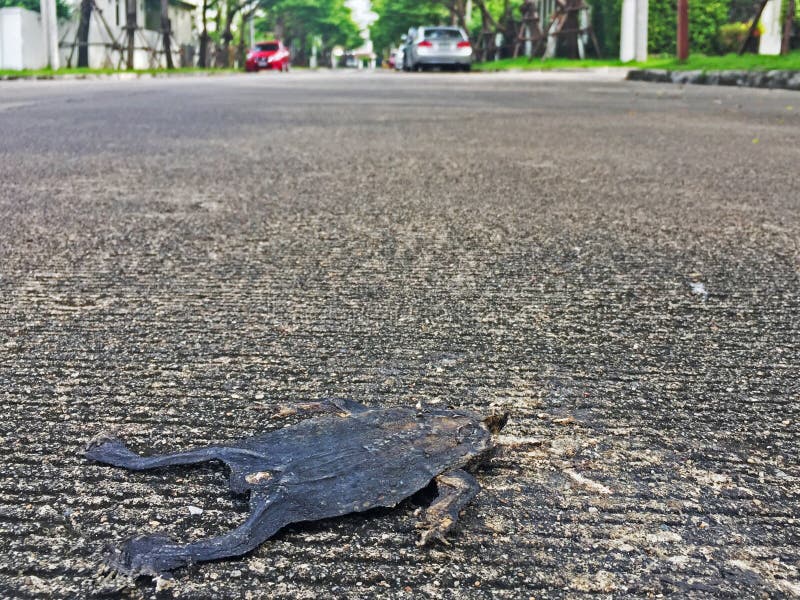 Dangerous Road stock photo. Image of toad, travel, time - 128845254