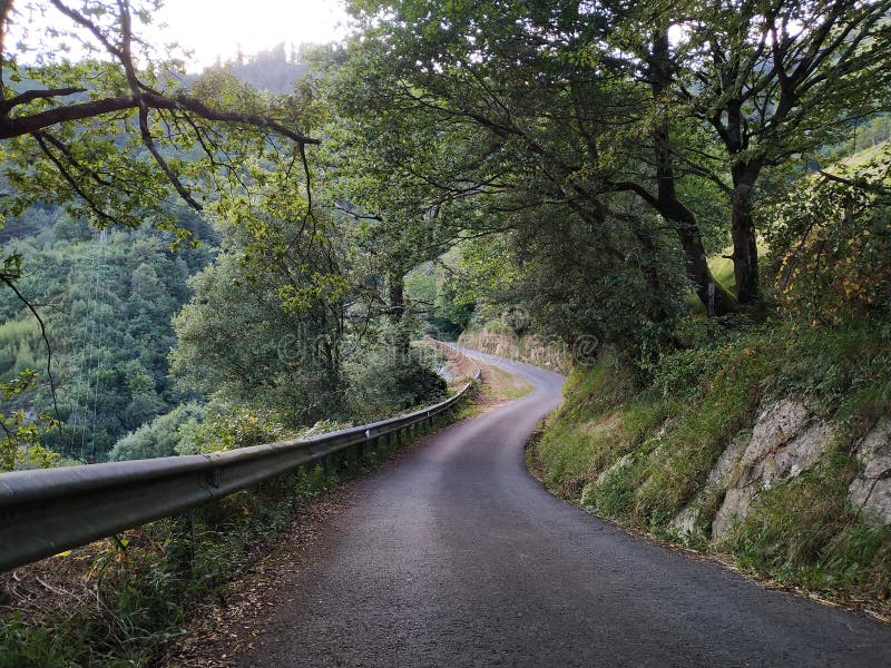 Dangerous Road without Signs in the Woods - 3 Stock Image - Image of ...