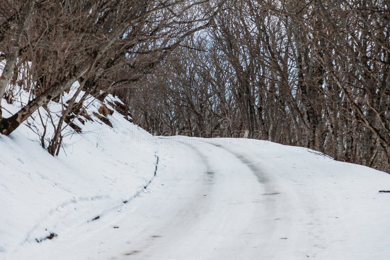 Dangerous Snow-covered Road. Icy Condition Stock Image - Image of ...