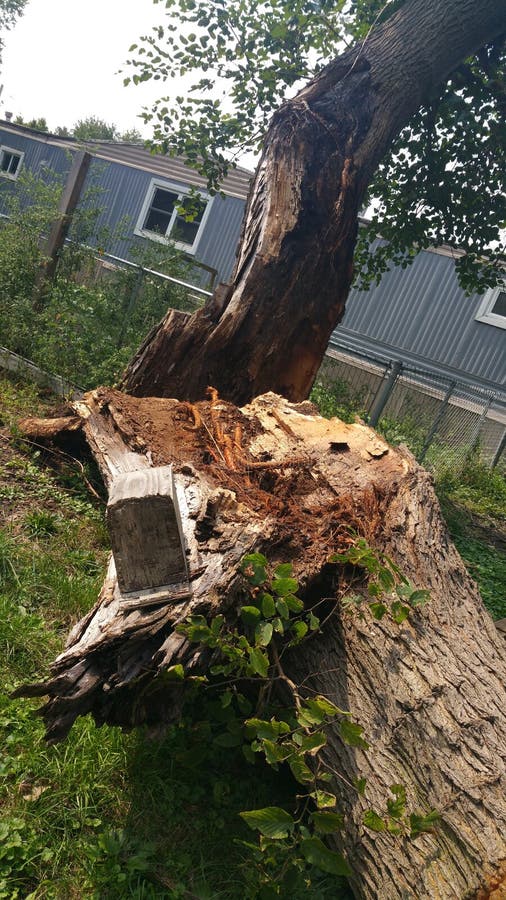 Dangerous Half Open Broken Rusty Hatch Sewer Manhole, Standing on the ...
