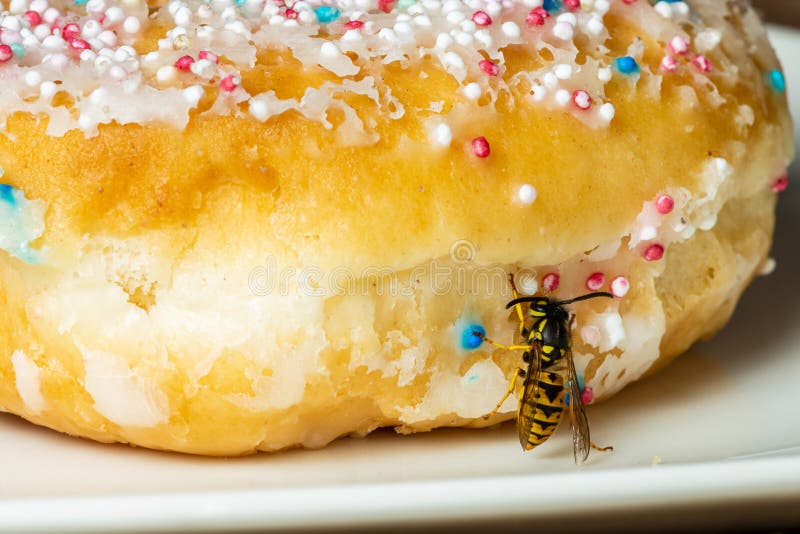 Dangerous Wasp on Food stock image. Image of wildlife - 157179347