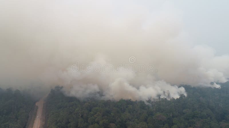 Dangerous Wildfires. a Lot of White Smoke Due To Forest Fires Stock ...
