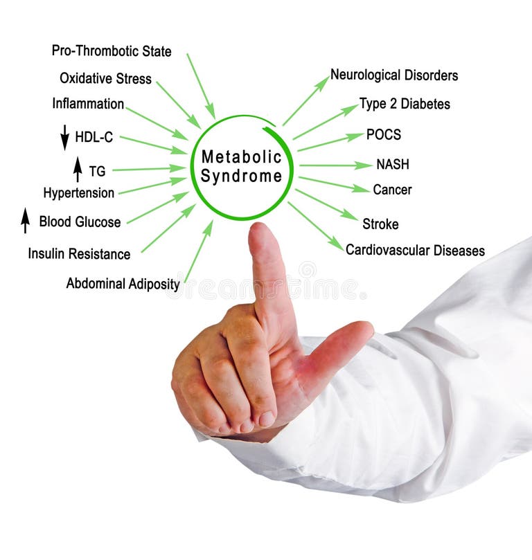 863 Metabolic Syndrome Stock Photos - Free & Royalty-Free Stock Photos ...