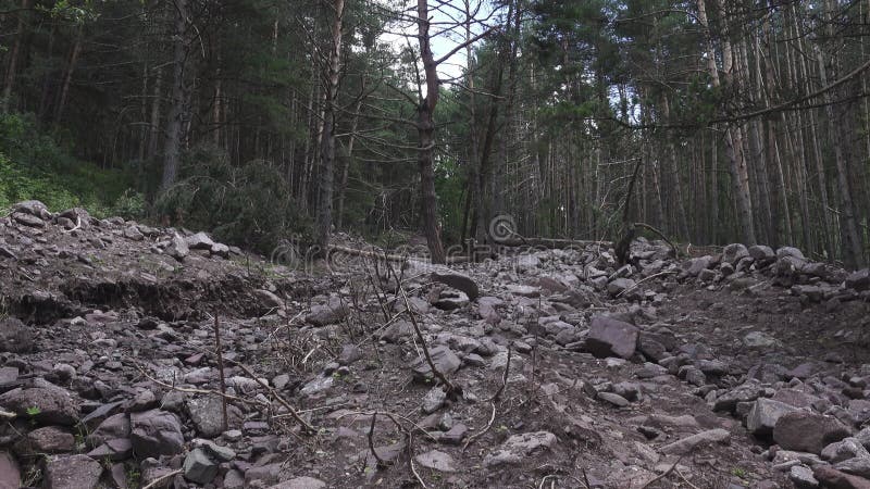 Dangers of Mountains, Strip after Mudslides in Forest. Stock Footage ...