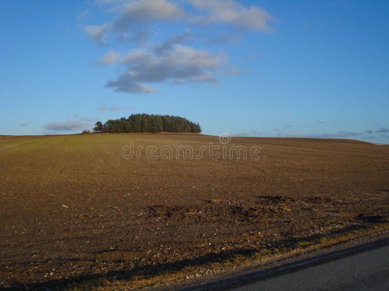 Danish field during spring stock image. Image of scenic - 101129803
