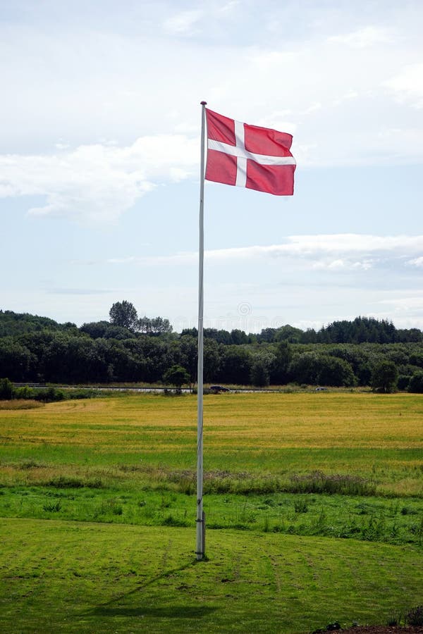 Flag of Denmark vertical stock image. Image of patriotism - 20132849